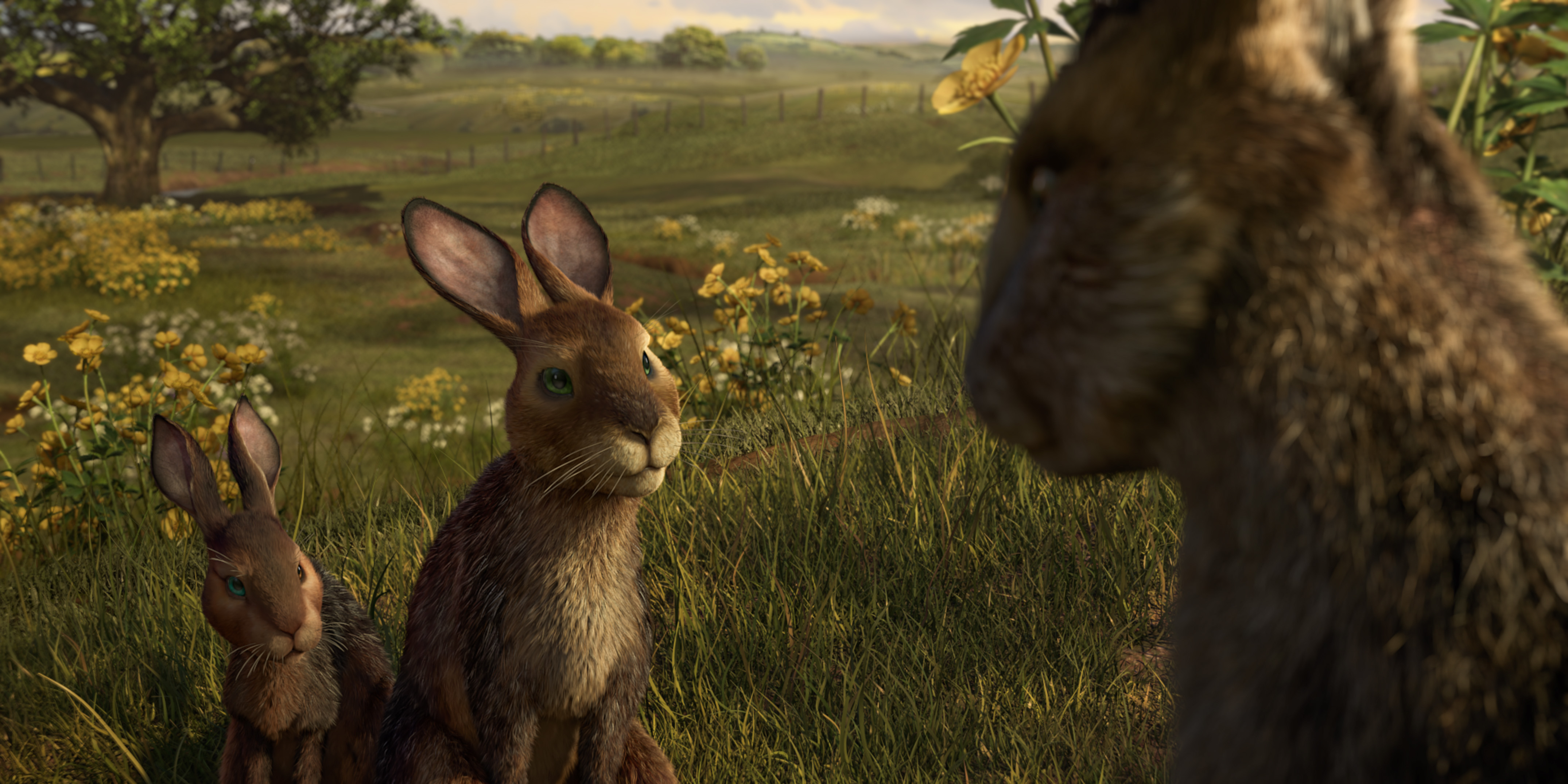 First Look at BBC One’s Watership Down mini-series and more incredible ...